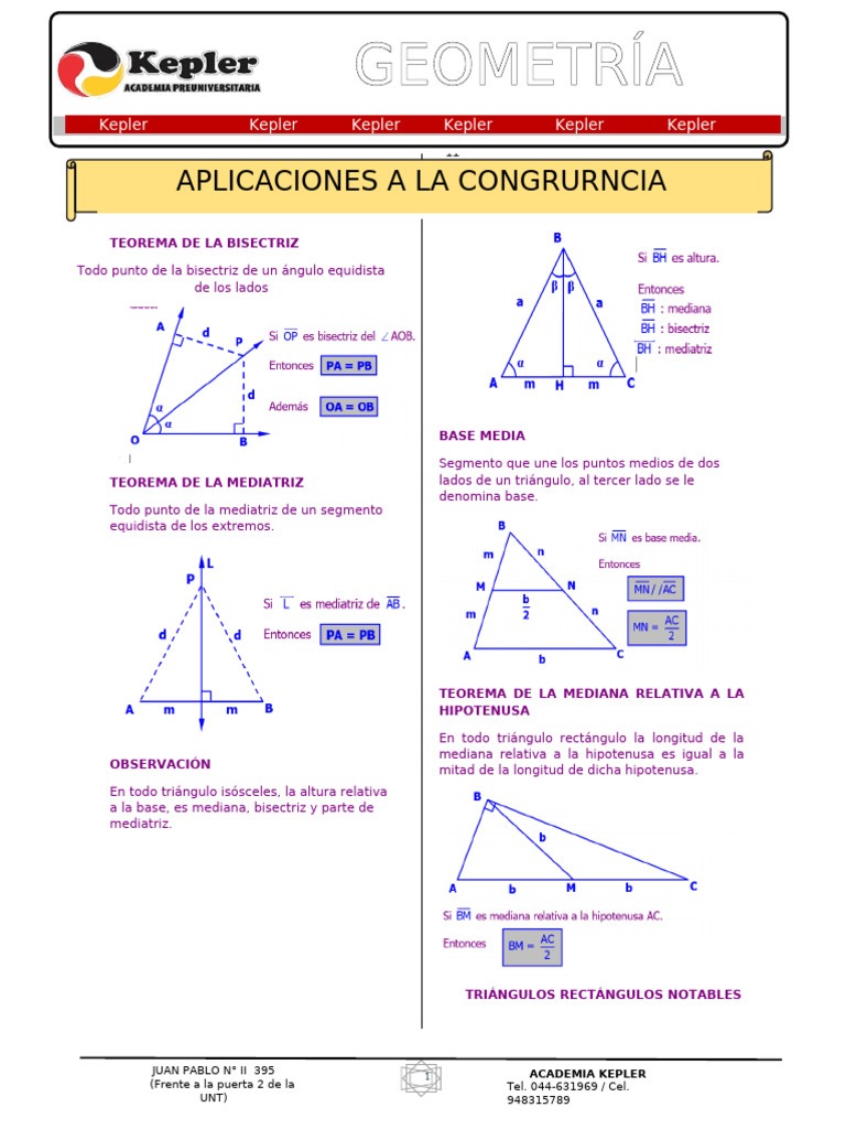 TEMA8 | PDF | Triángulo | Rectángulo