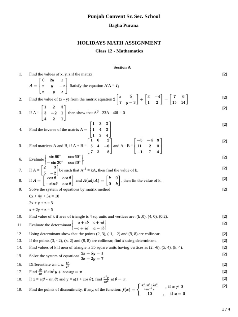 12th math holidays work assignment | PDF | Matrix (Mathematics) | Matrix Theory