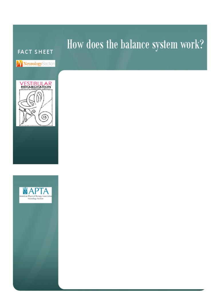 how_does_the_balance_system_work1 | PDF | Vestibular System | Senses