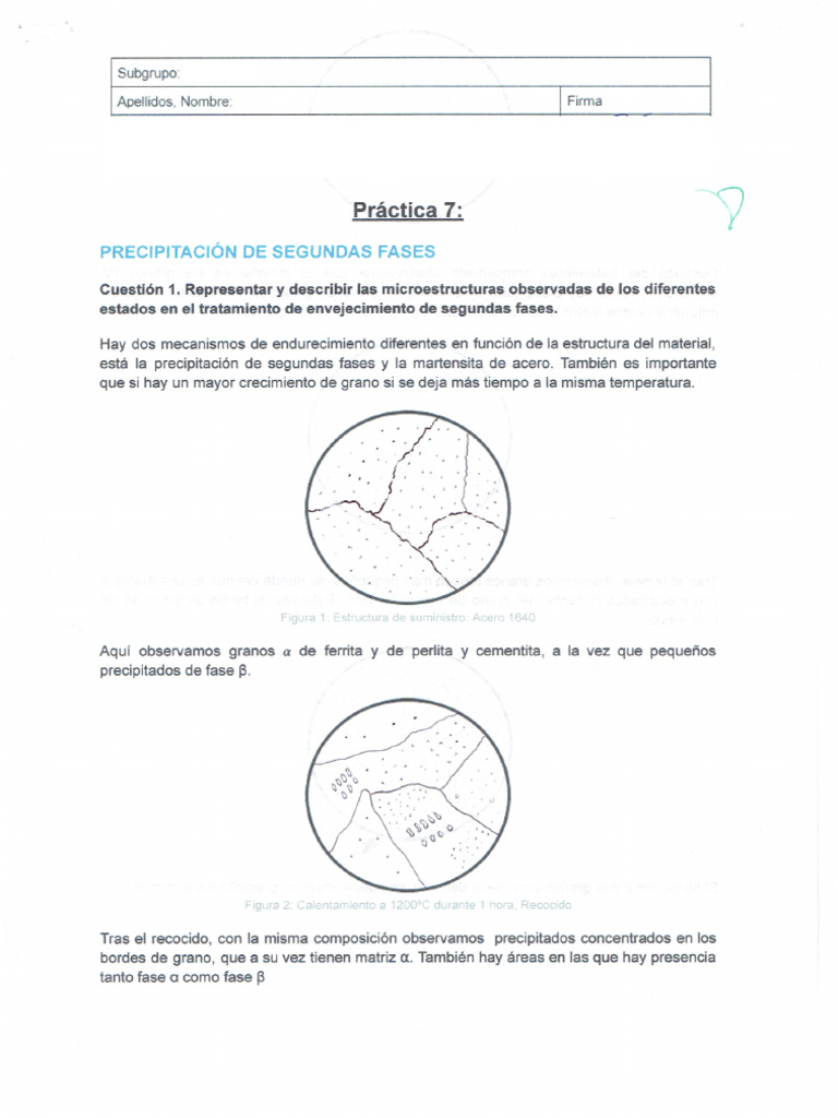 (Materiales) Informe Práctica 7 Corregida | PDF