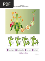 Class 10 - Reproduction | PDF | Reproduction | Sexual Reproduction