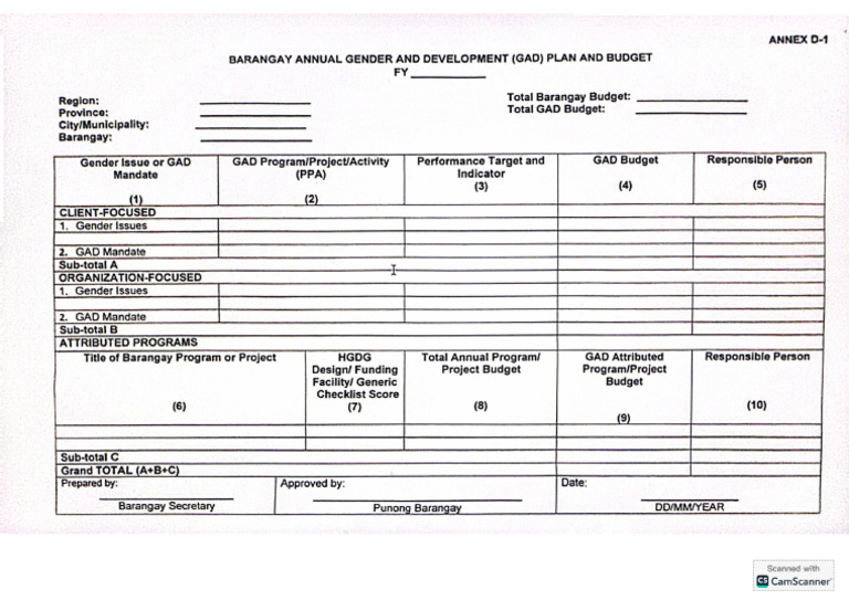 Barangay Annual GAD Plan and Budget | PDF