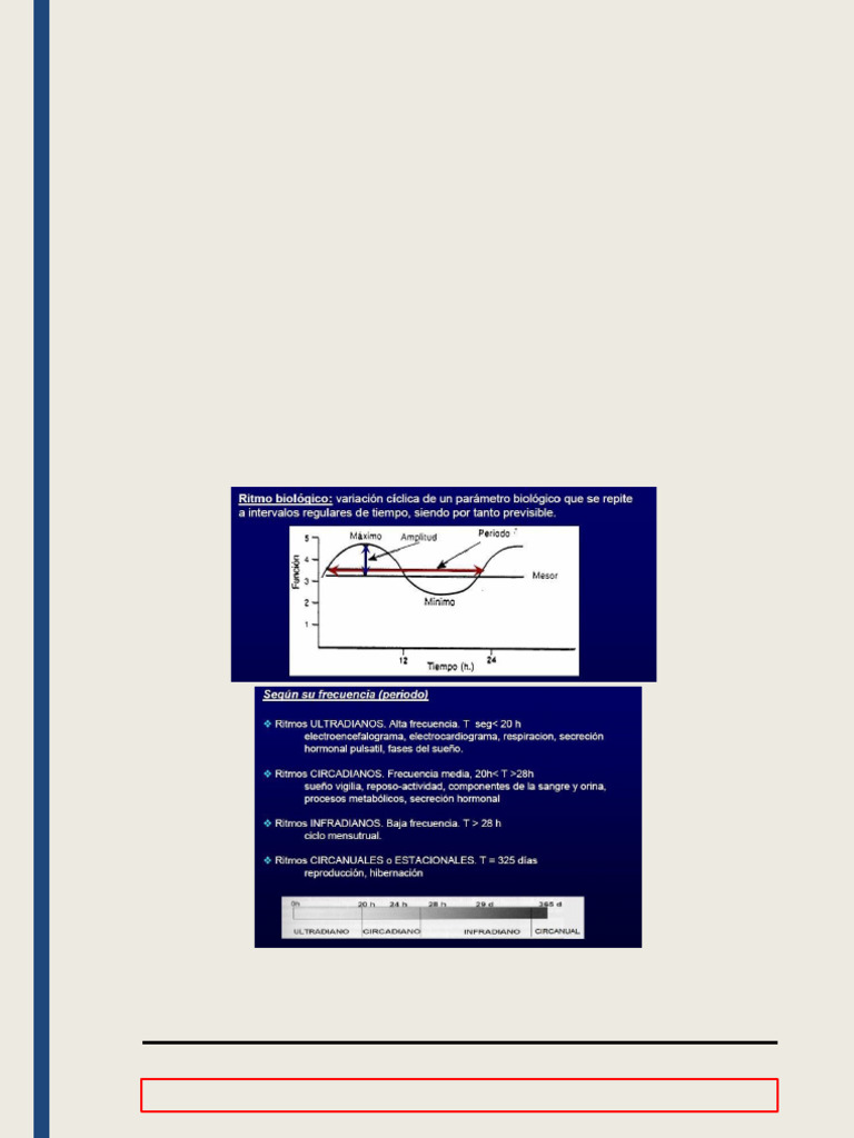 Clase Unidad 8 - Ritmos Biológicos | PDF | Ritmo circadiano | Fisiología