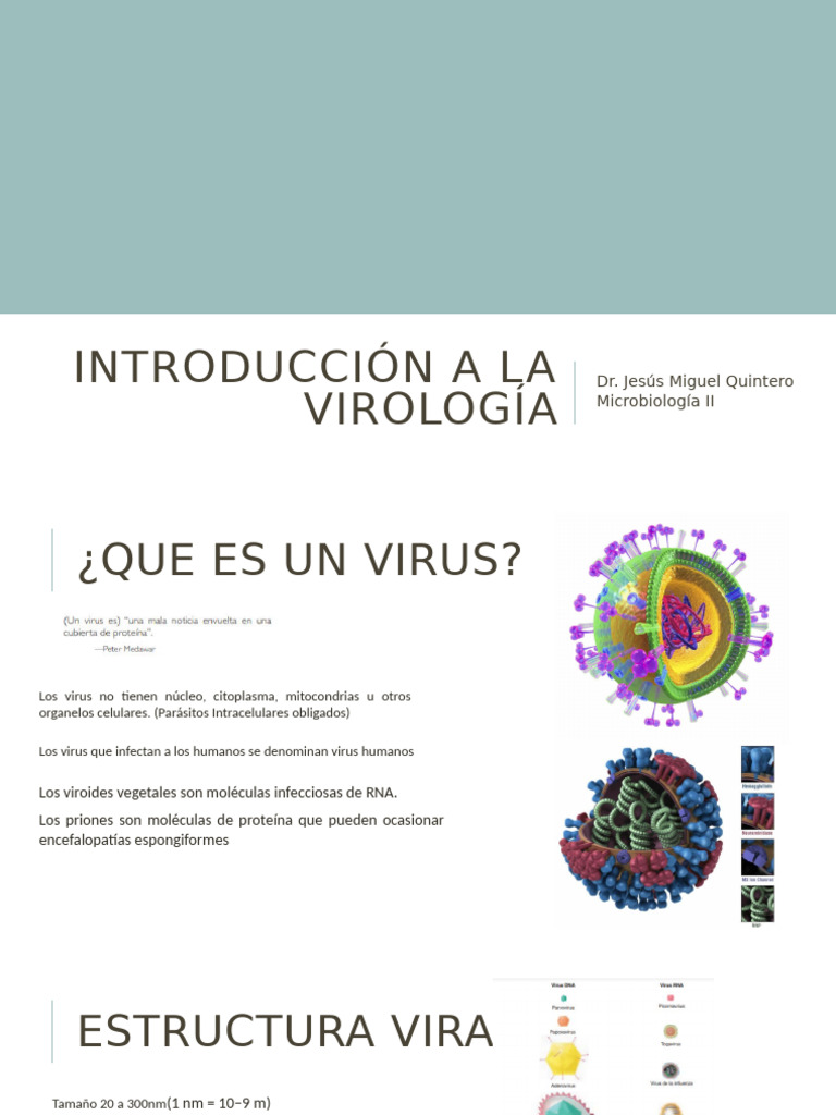 Introducción A La Virología - PPTM | PDF | Salud y bienestar