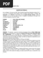 Modelo de Memo Informativo | PDF
