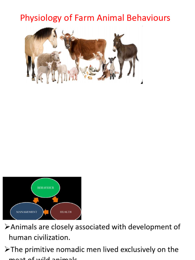 Animal Behaviour | PDF | Hypothalamus | Ethology