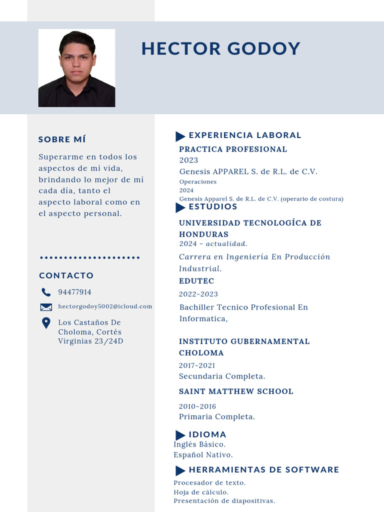 Hector Godoy cv .pdf | PDF