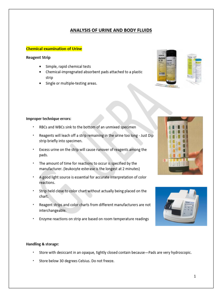 Aubf-lab-chemical-examination-of-urine | PDF | Kidney | Urine