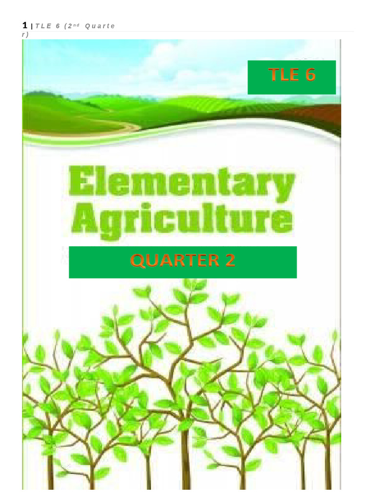 532423903 Tle 6 Quarter 2 Pdf Grafting Seed