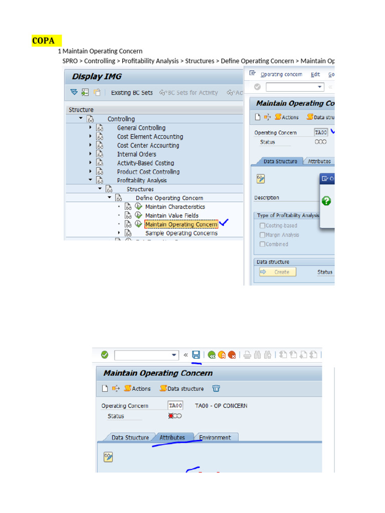 S4 Hana - COPA Activation (Margin Analysis) | PDF | Finance & Money ...