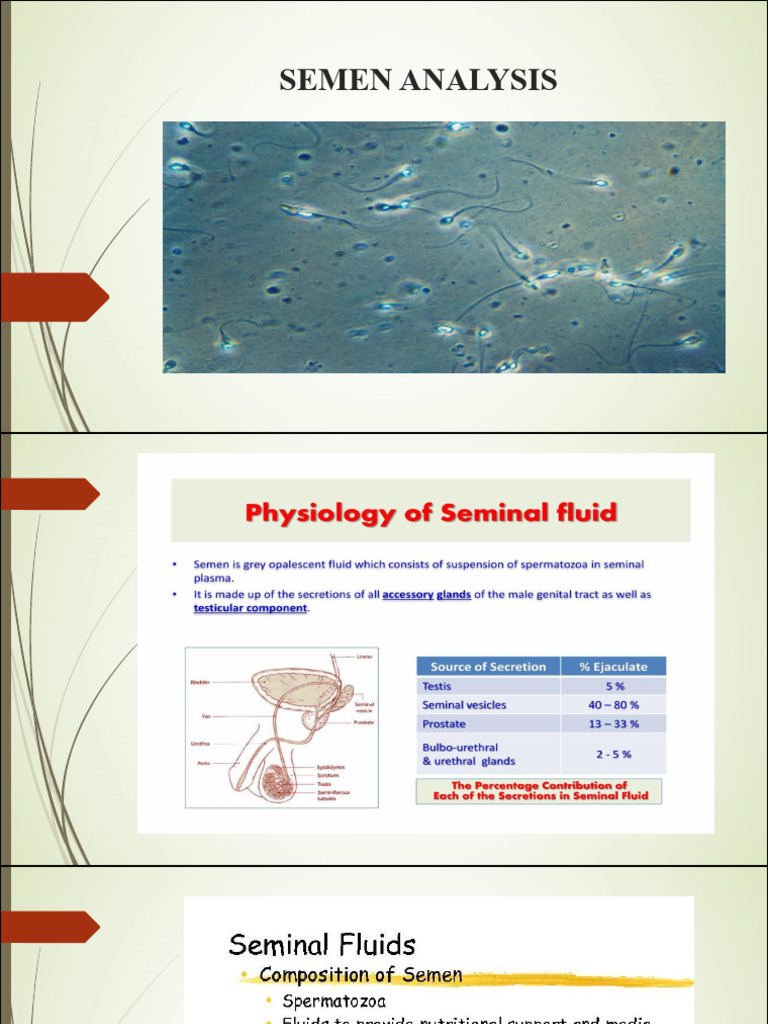 Semen Analysis | PDF