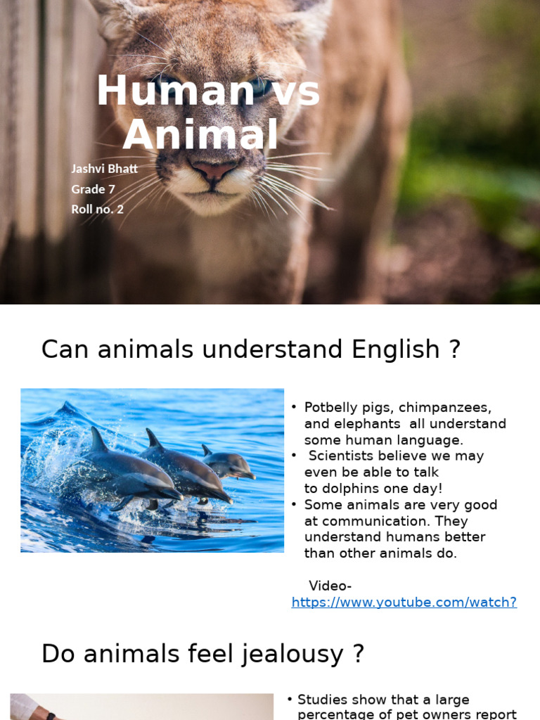 Human Vs Animal | PDF | Pet | Human
