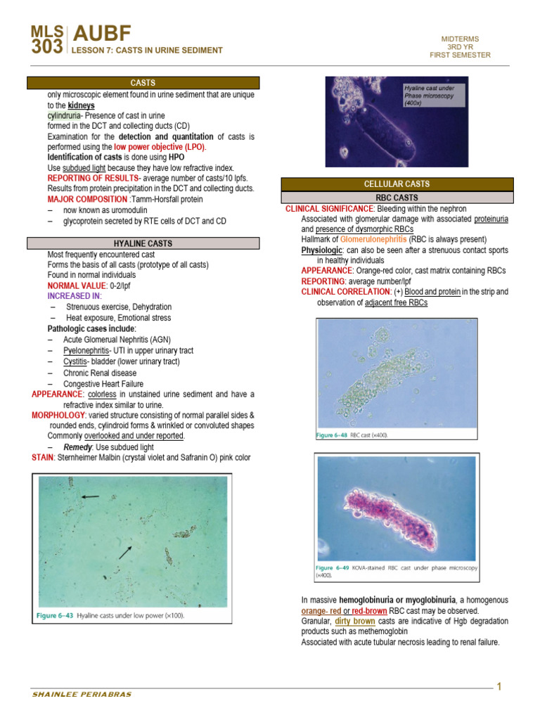Urine Casts: Types and Reporting | PDF | Clinical Medicine | Kidney