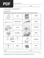 Prim Maths 4 2ed TR End of Year Test | PDF | Mathematics