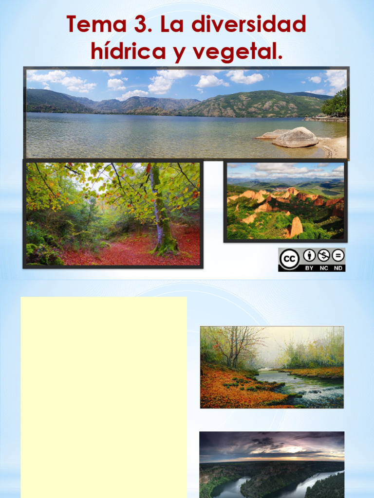 Presentacion Tema 3 | PDF | lago | Río