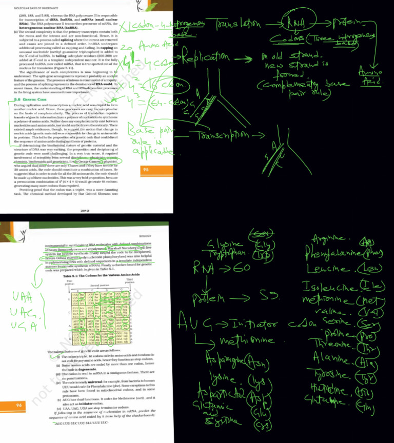 Class 12 | PDF