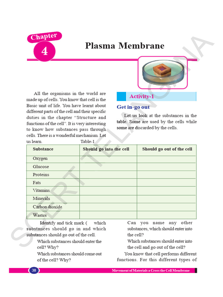 Cell Membrane Transport Basics | PDF | Cell Membrane | Osmosis