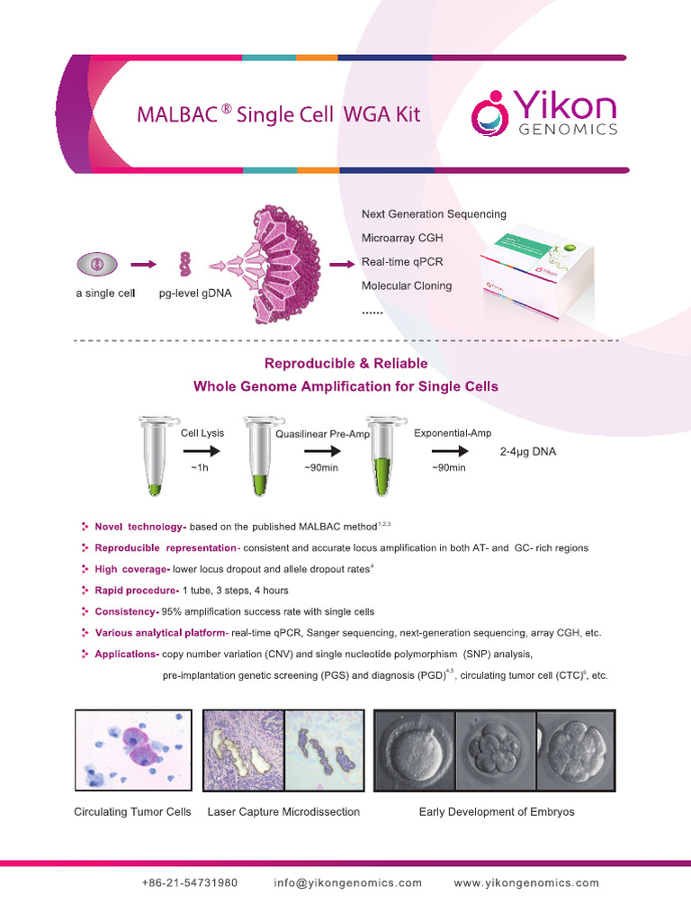 MALBAC Info Flyer | PDF
