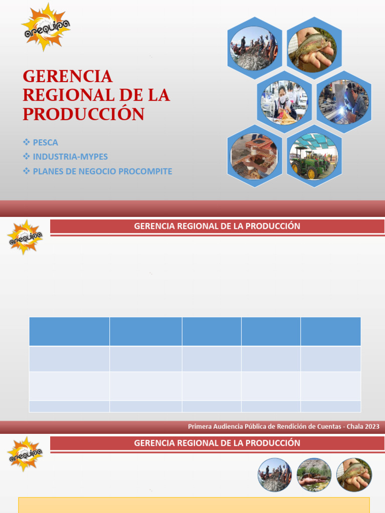09 Gerencia Regional de La Producci N | PDF | Pequeñas y medianas empresas | Economias