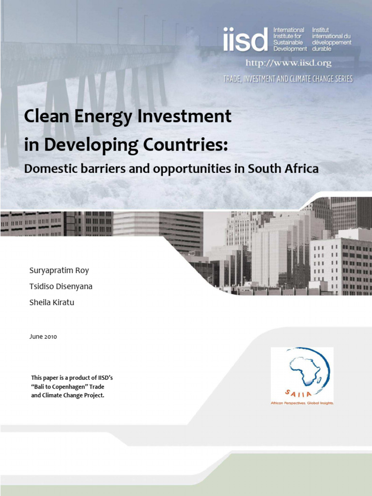 Clean Energy Investment in Developing Co | PDF | Renewable Energy ...