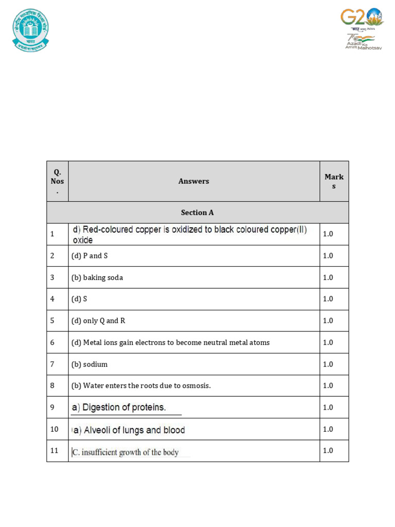 CBSE Class X Science Practice Questions | PDF | Metals | Redox