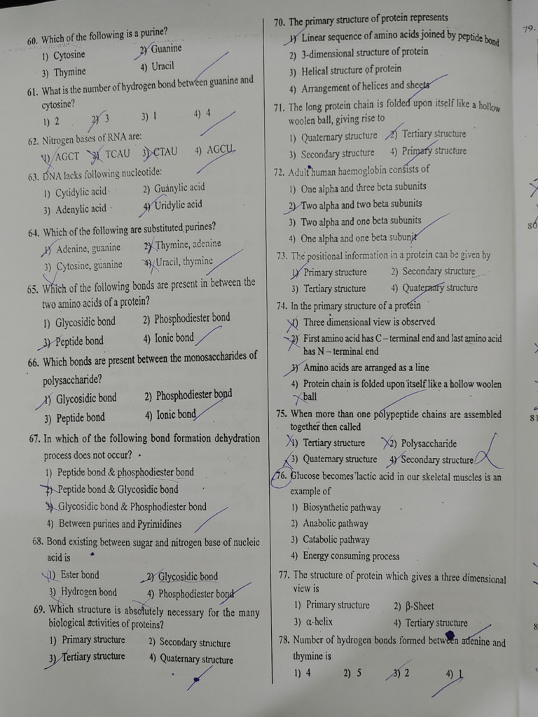 Scanned_20241020-1220-2 | PDF