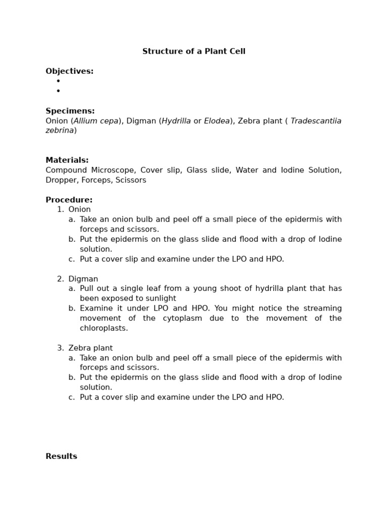 Experiment 1 Plant Cell | PDF | Wellness