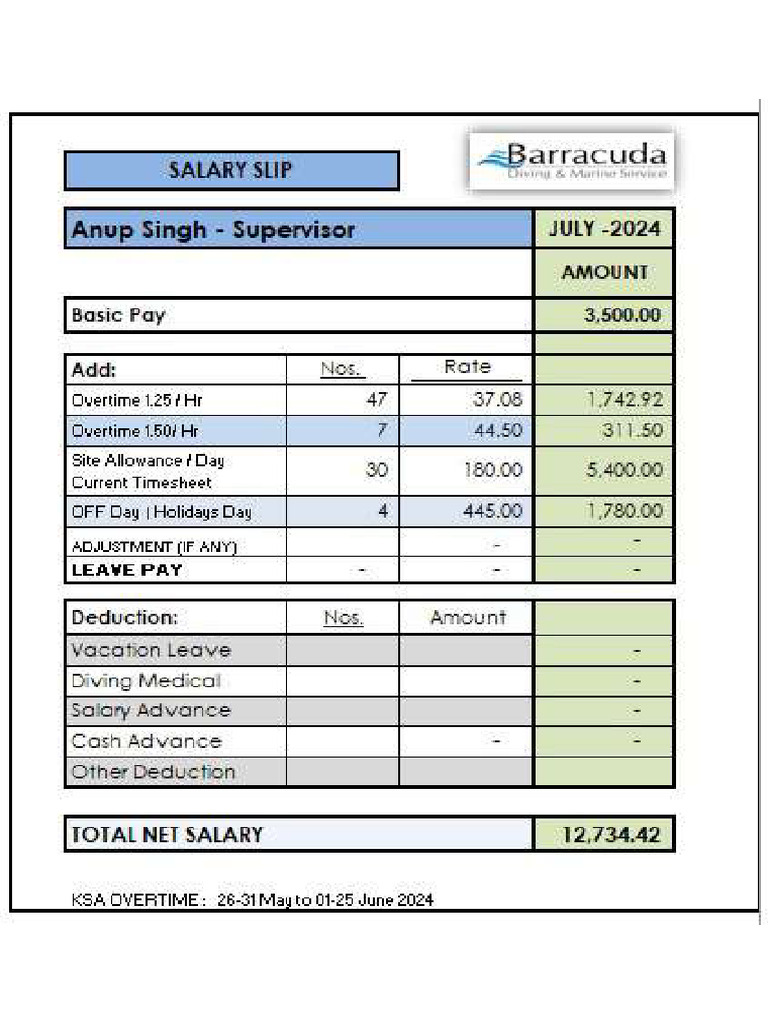 Salary Slip | PDF