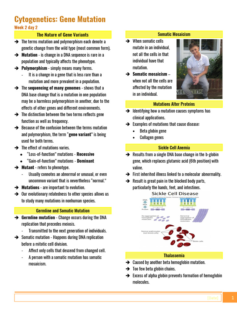 Cytogenetics Gene Mutations | PDF | Dna Repair | Mutation
