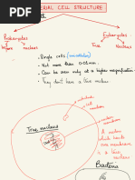 Bacteria Cell Diagram Labeled - Google Search | PDF