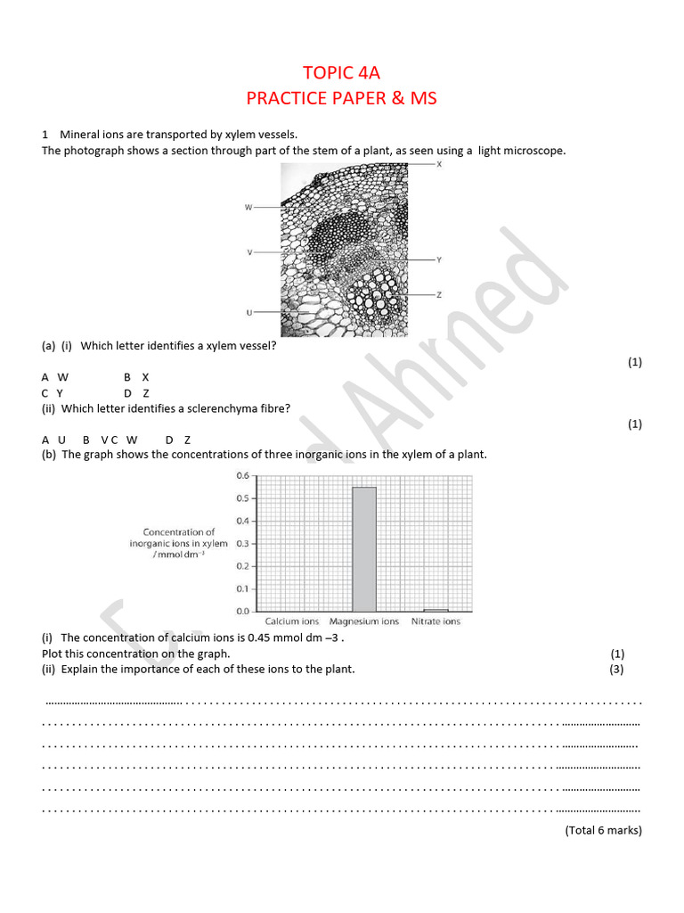 TOPIC 4A PRACTICE PAPER & MS Biology | PDF | Cell Wall