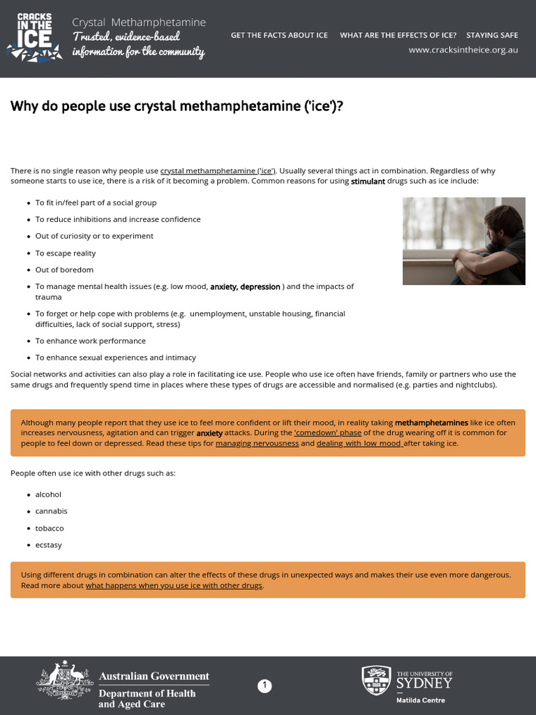 why-do-people-use-ice | PDF | Anxiety | Emotions