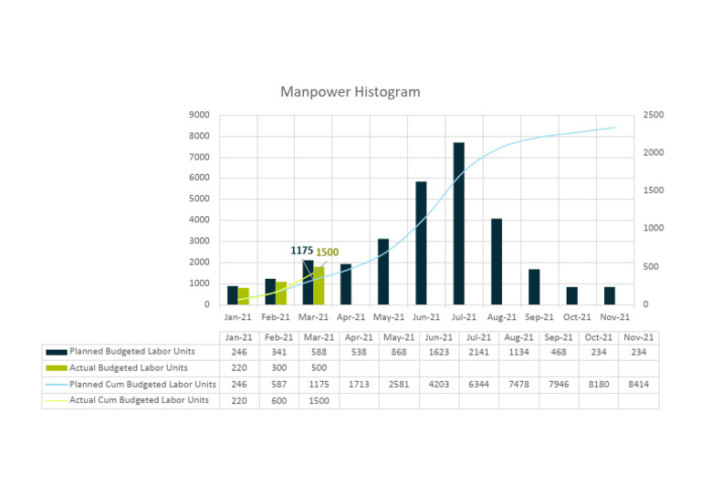 Manpower Histogram Pdf