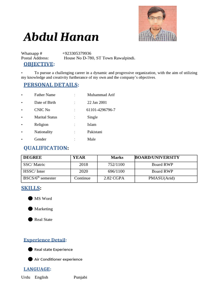 my CV | PDF