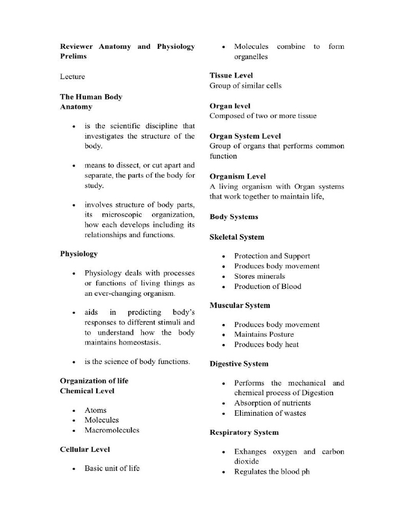 Anatomy Reviewer | PDF