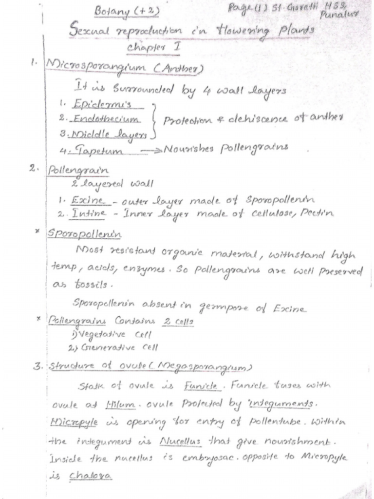 Plus Two Botany (Capsule Notes) | PDF