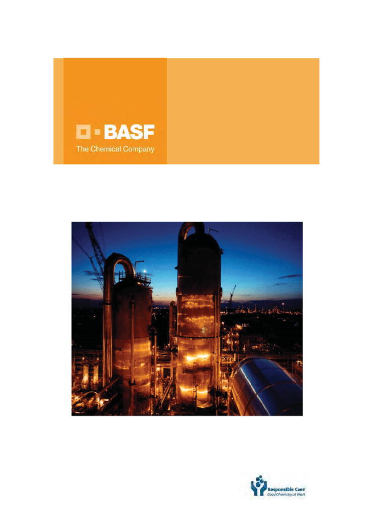 Bas - PSF | PDF | Risk | Risk Assessment
