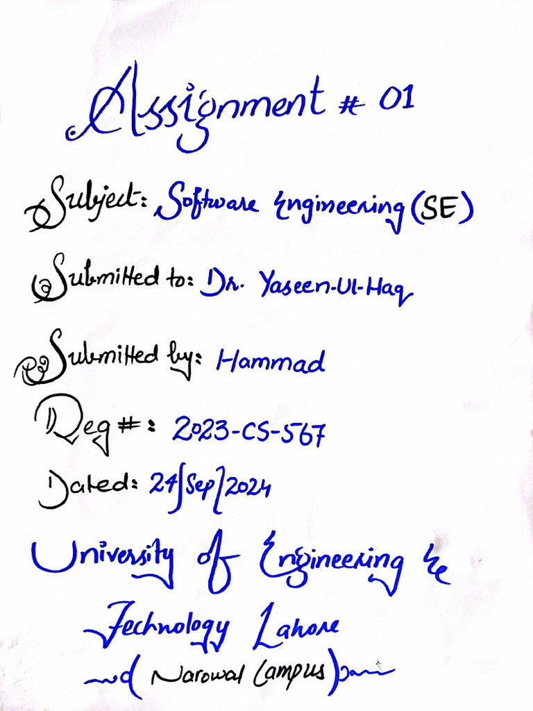 Software Engineering Assignment no 1 Hammad Malik | PDF