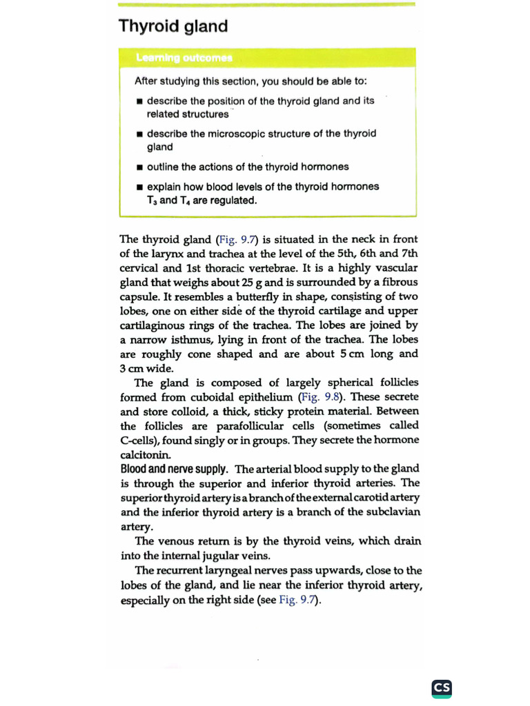 anatomy of endocrine system (thyroid and parathyroid gland) | PDF