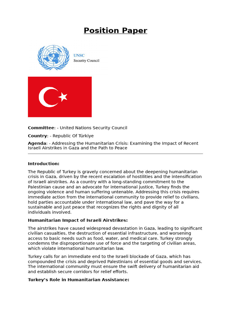 Position Paper Turkey | PDF | Israeli–Palestinian Peace Process | Hamas