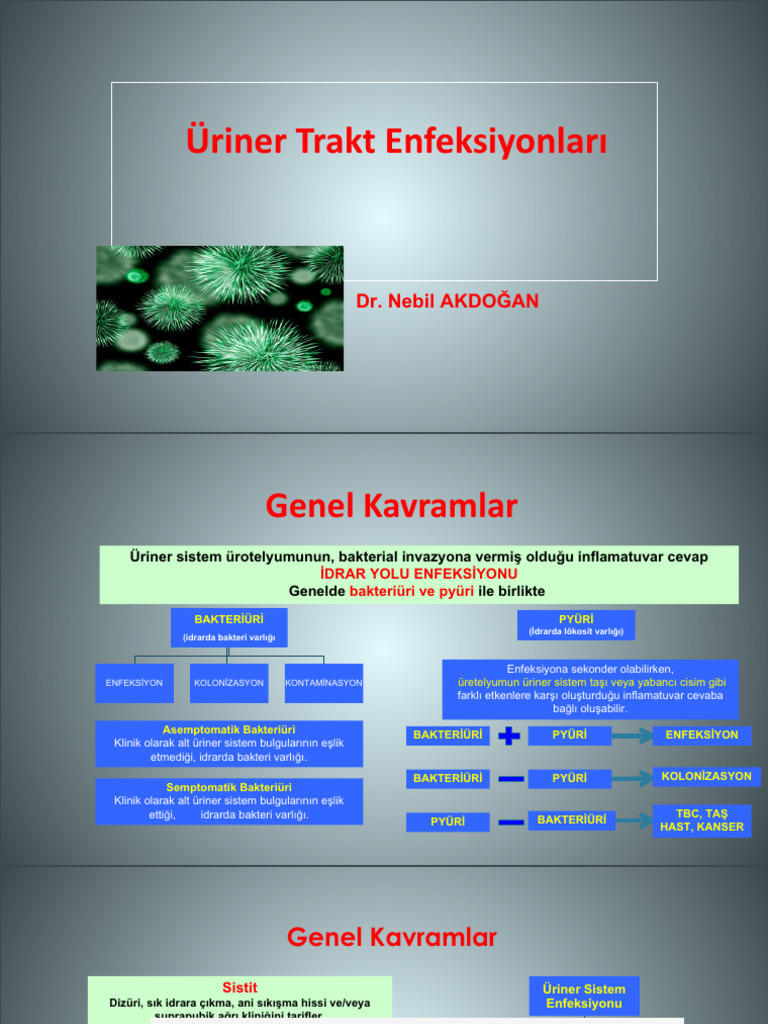 Uriner Trakt Enfeksiyonlari | PDF