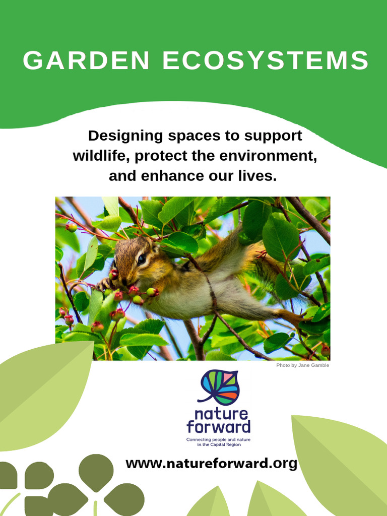 Creating Ecological Garden Ecosystems | PDF | Soil | Habitat