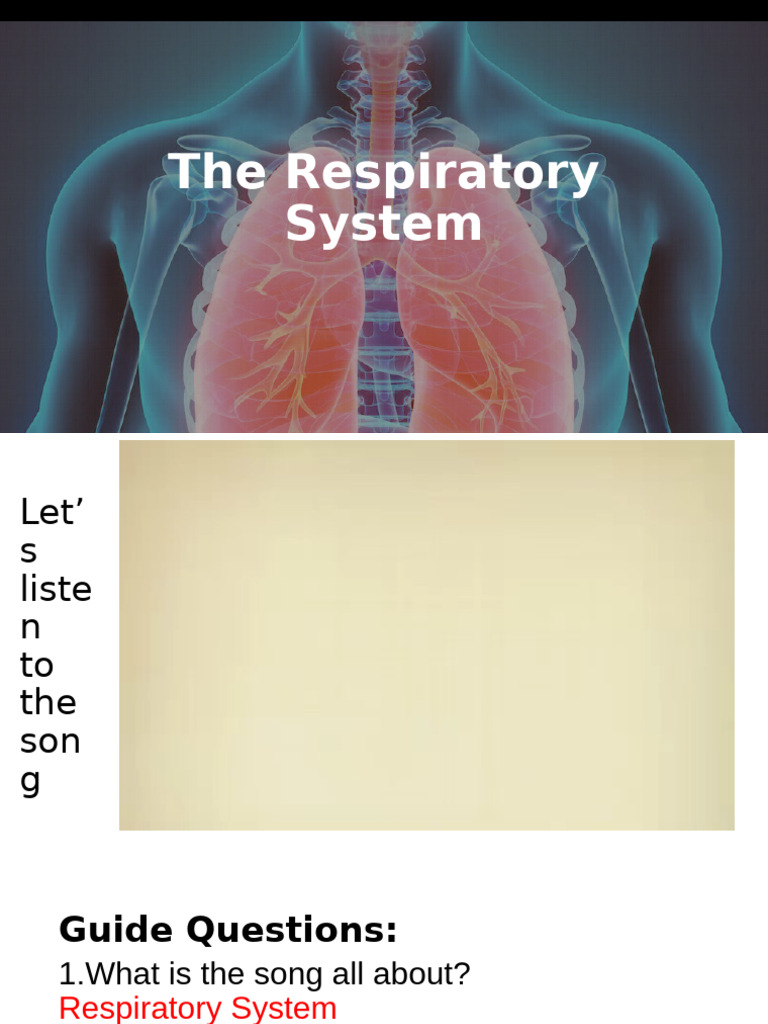 Respiratory System Song Guide | PDF | Respiratory Tract | Respiratory ...