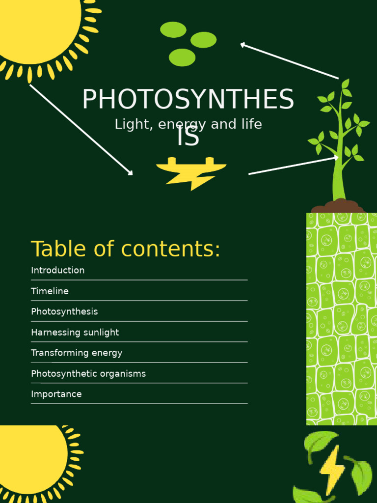 Understanding Photosynthesis Process | PDF | Photosynthesis | Chemistry