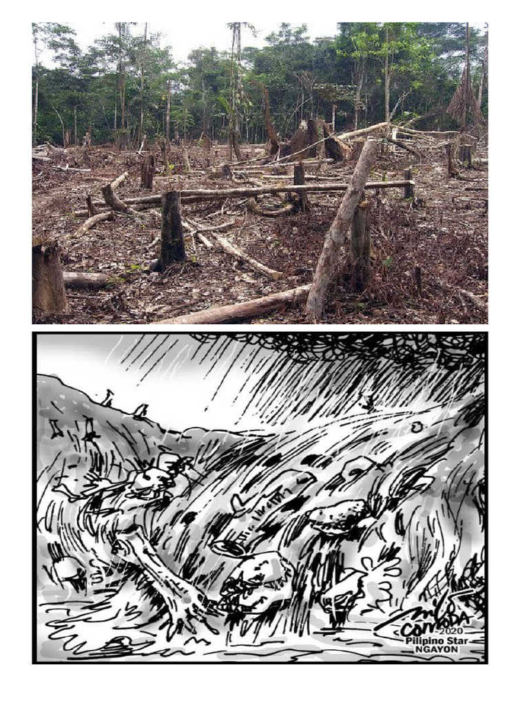 Magandang Tirahan Grade 3 | PDF