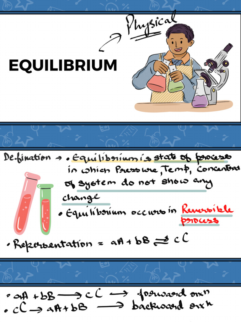 Physical Equilibrium | PDF