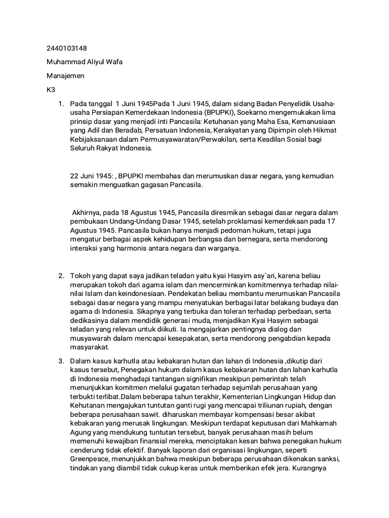 Muhammad Aliyul Wafa Manajemen k3 | PDF | Ilmu Sosial