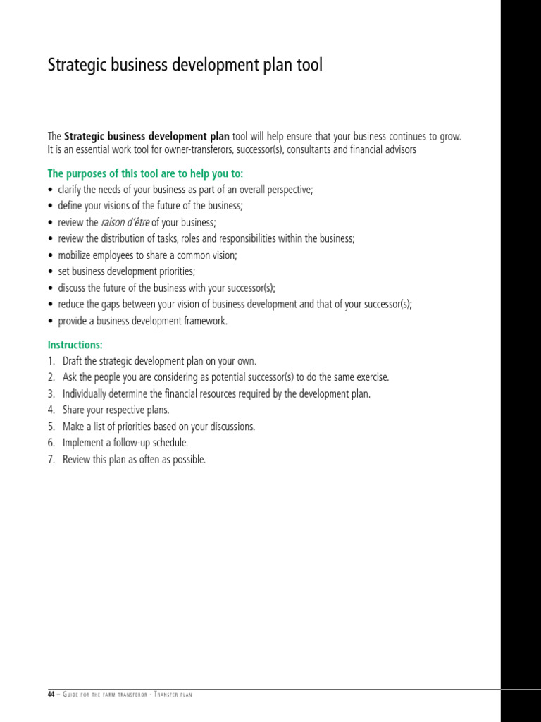 Strategic Business Development Plan | PDF | Business | Economies