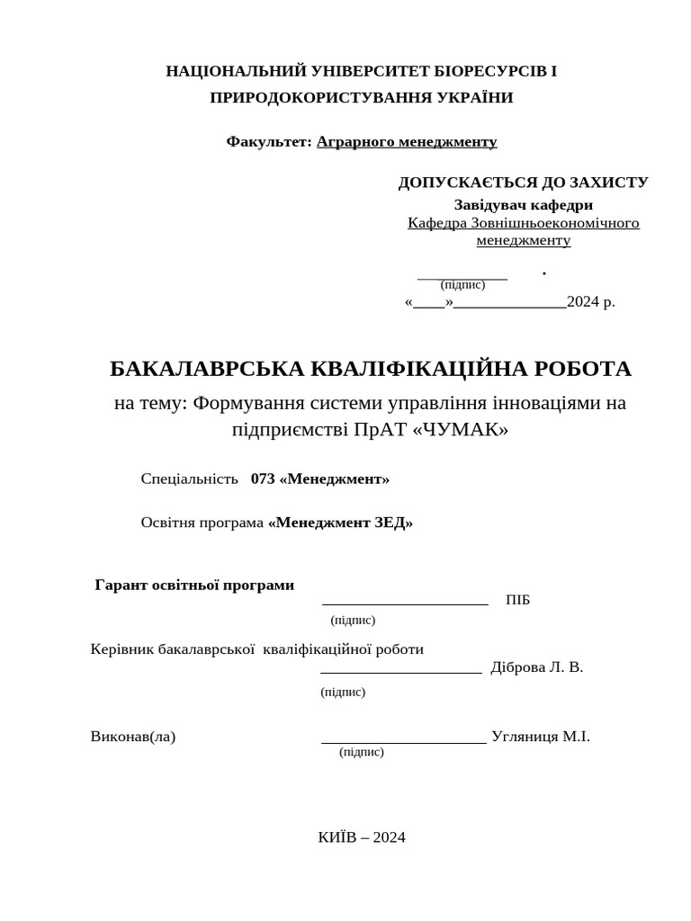 Bachelor Work | PDF
