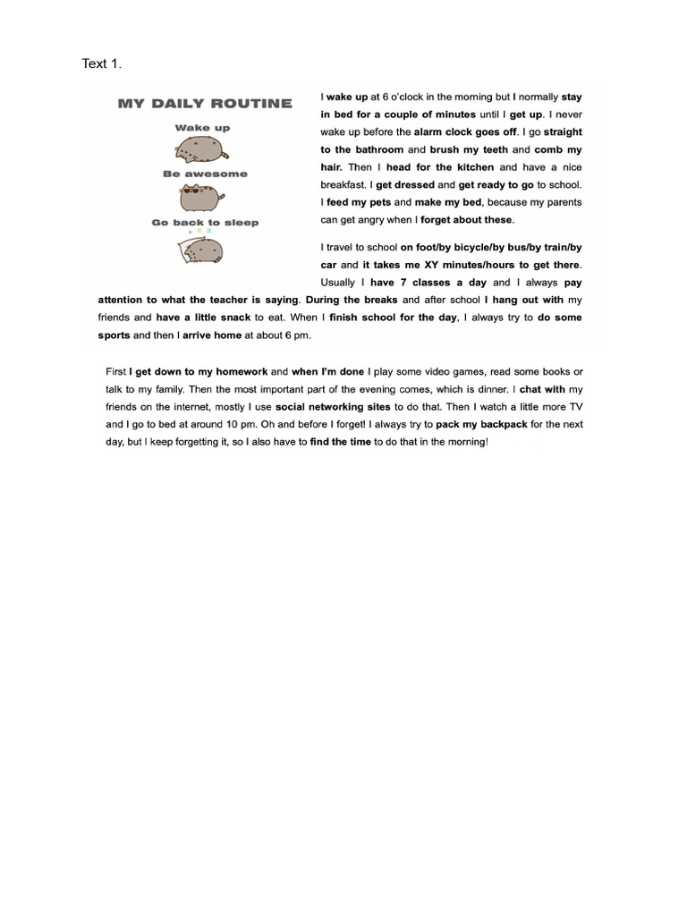 Daily routine texts | PDF